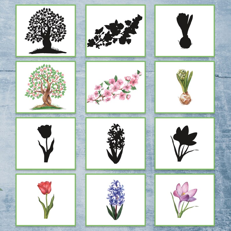 Spring shadow matching cards. Montessori printable. | Etsy