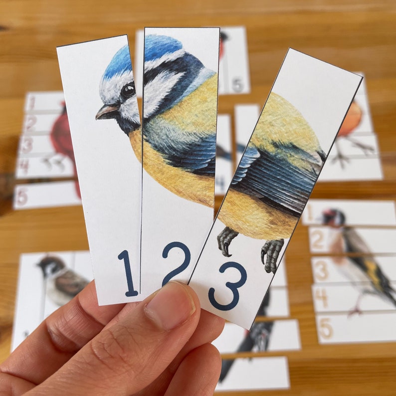 Toddler Puzzle Birds Number Sequence 1-5. Montessori Printable Matching ...