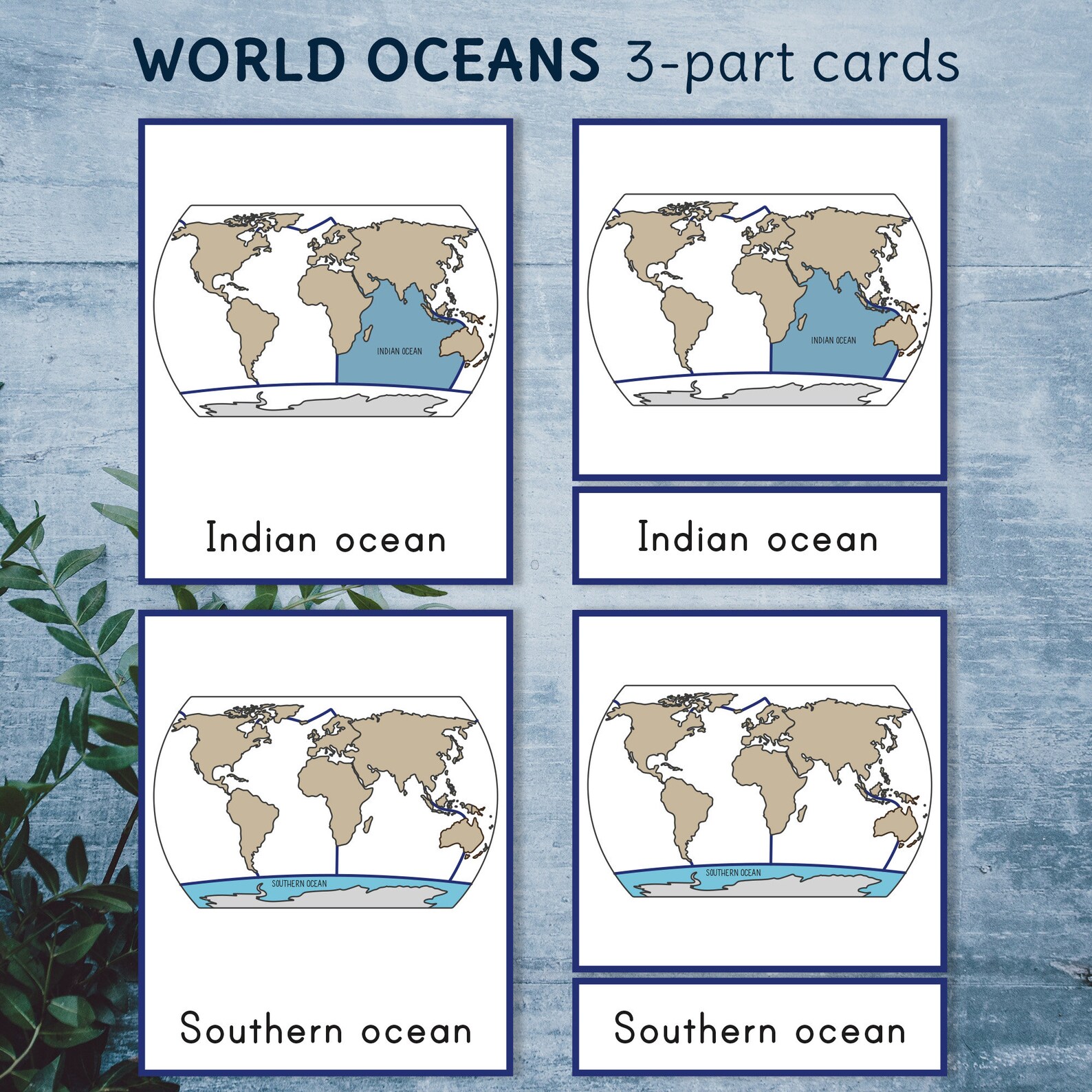 Oceans of the World 3 Part Cards. Montessori Geography - Etsy
