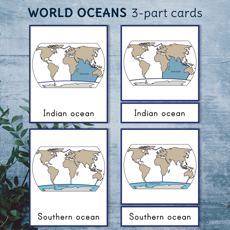 Oceans of the World 3 Part Cards. Montessori Geography - Etsy