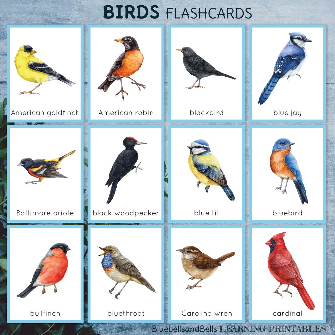 Birds Cards. Birds Identification Printable Flash Cards. Montessori ...