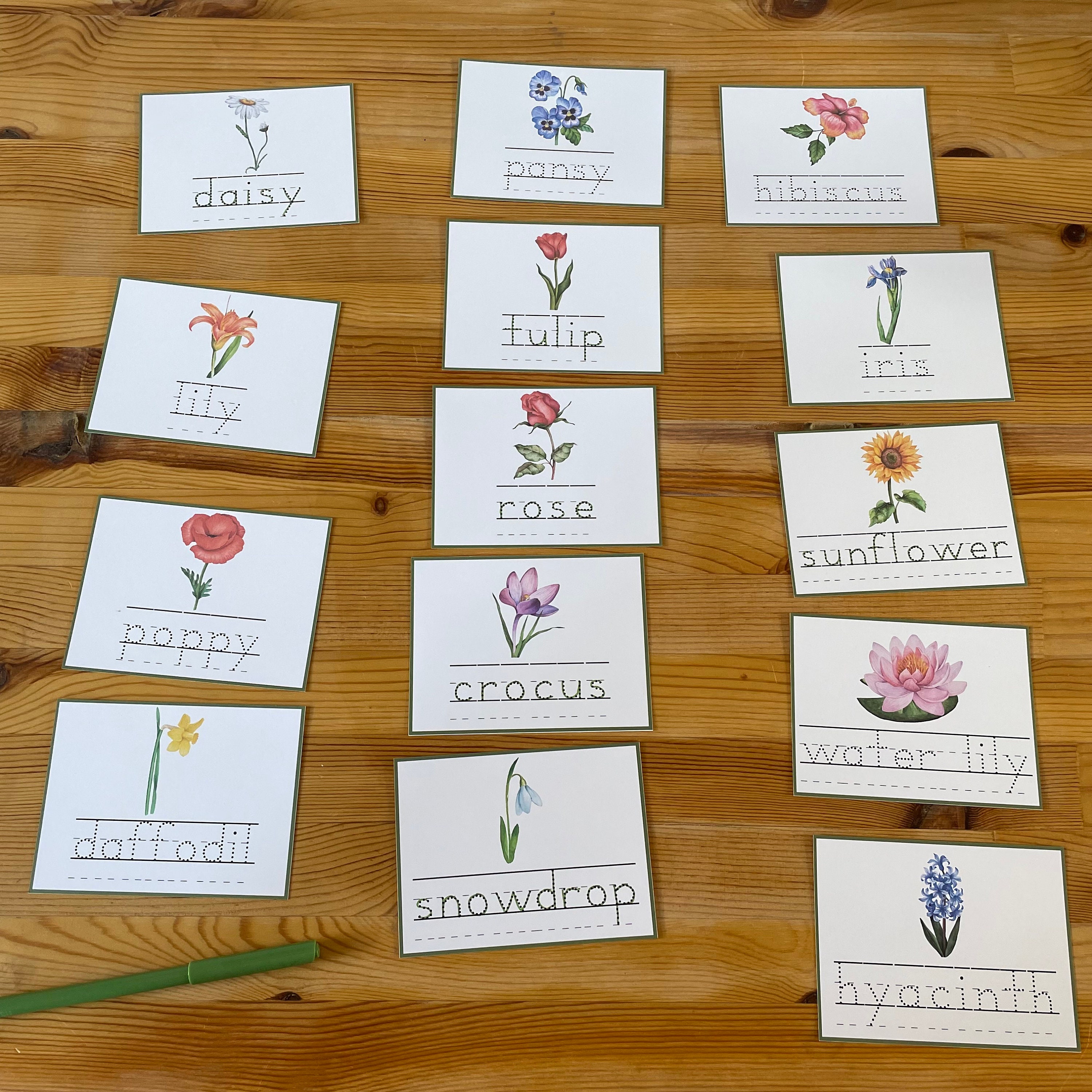 Flower Cards Tracing Words. Handwriting Practice for Preschool and ...