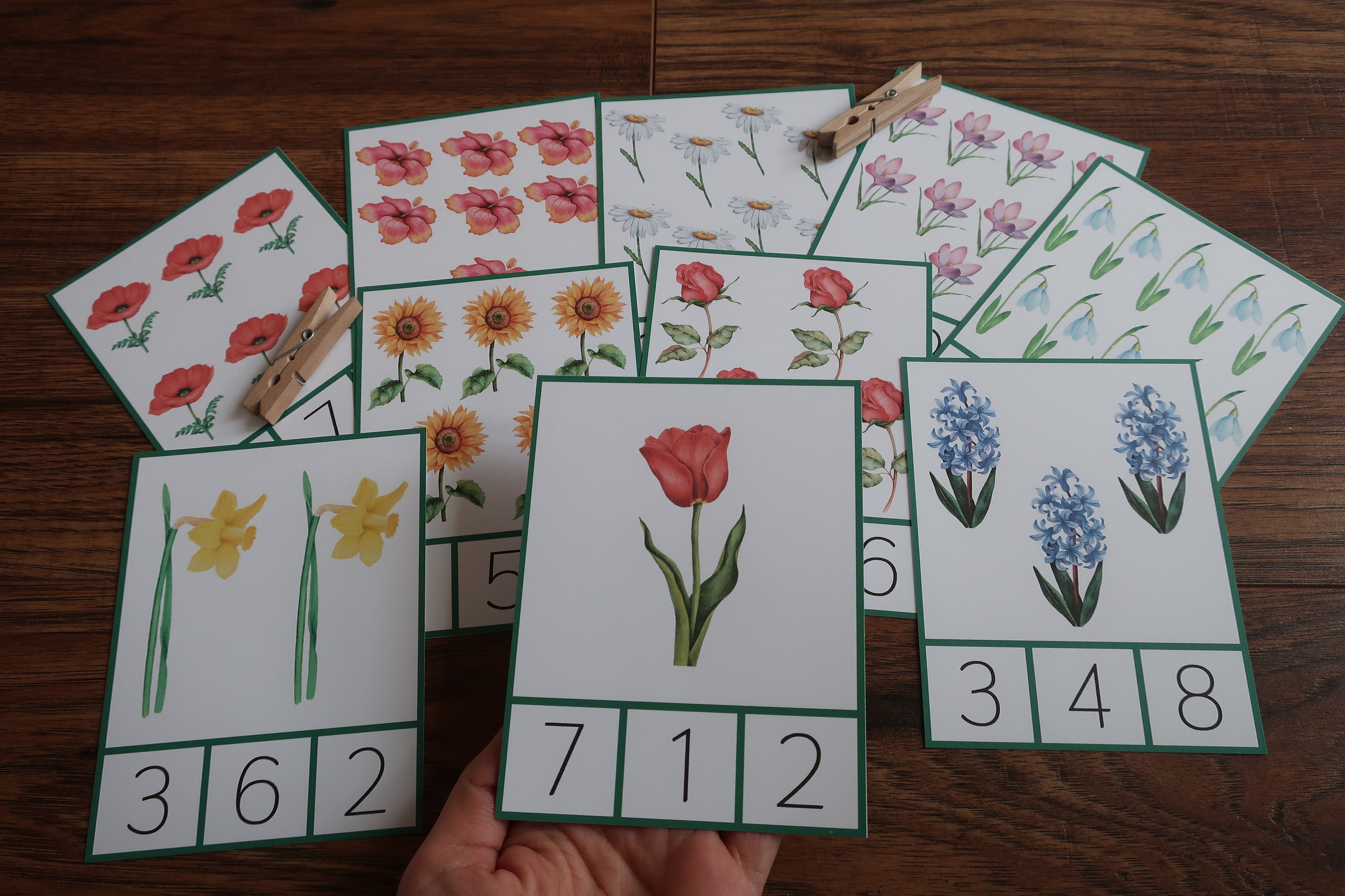 Flower Preschool Printable Count and Clip Cards 1-10. - Etsy