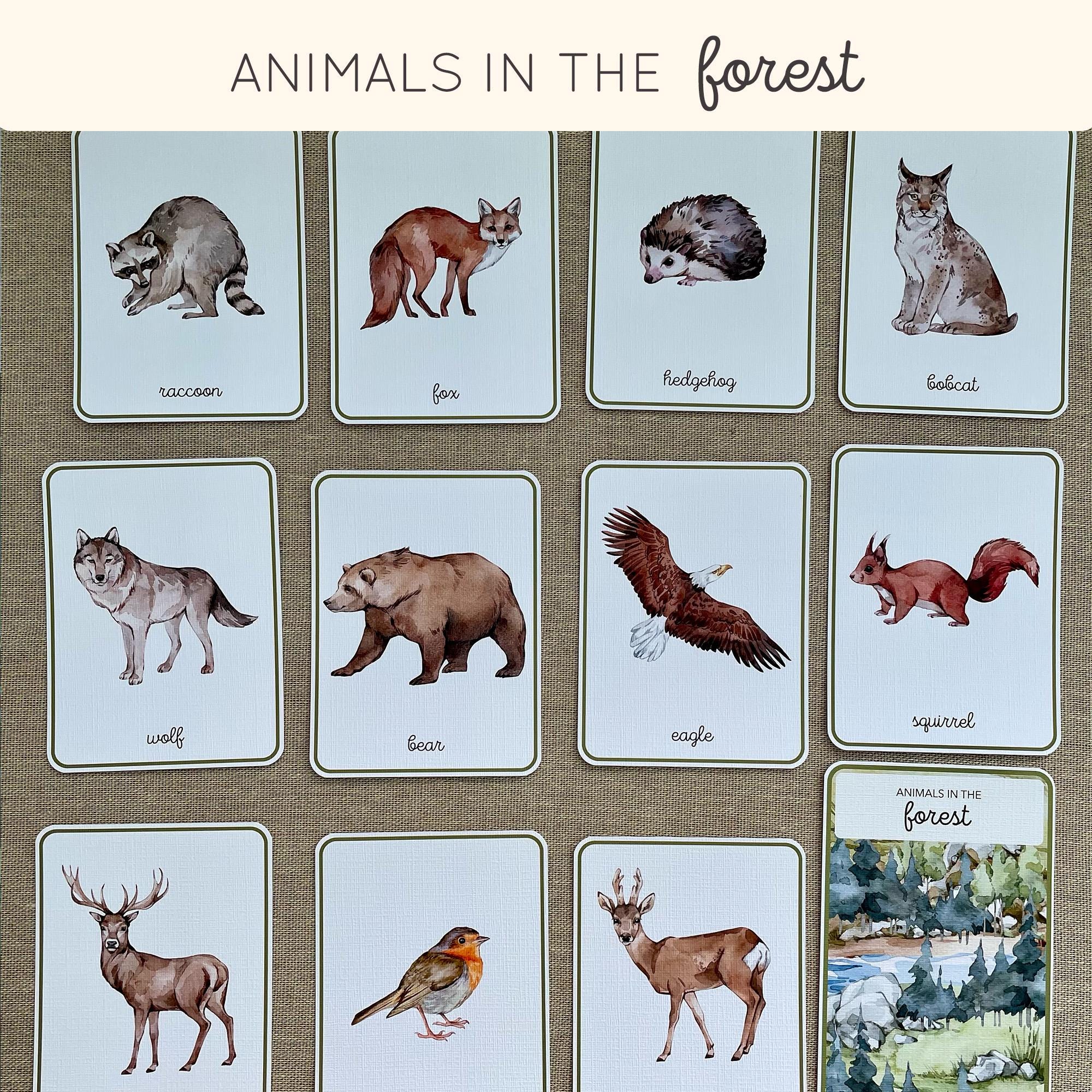 Farm Animal Flashcards, Woodland Animals, Ocean, Rainforest Cards ...