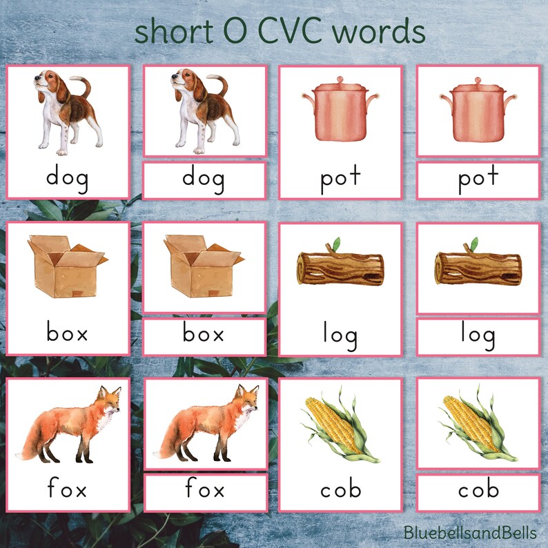 Montessori Printable CVC Phonics 3-part Cards. CVC Words | Etsy