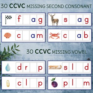 Montessori Printable Moveable Alphabet. CCVC Word Phonics Beginning ...