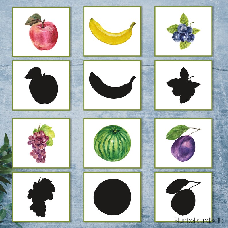 Fruit Shadow Matching Cards. Montessori Preschool Printable. | Etsy