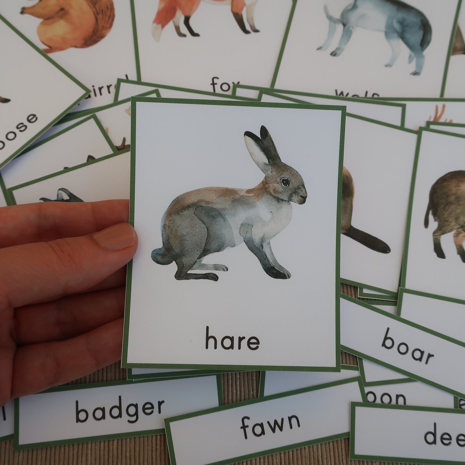 Woodland Animals Montessori 3 Part Cards. Preschool Vocabulary | Etsy