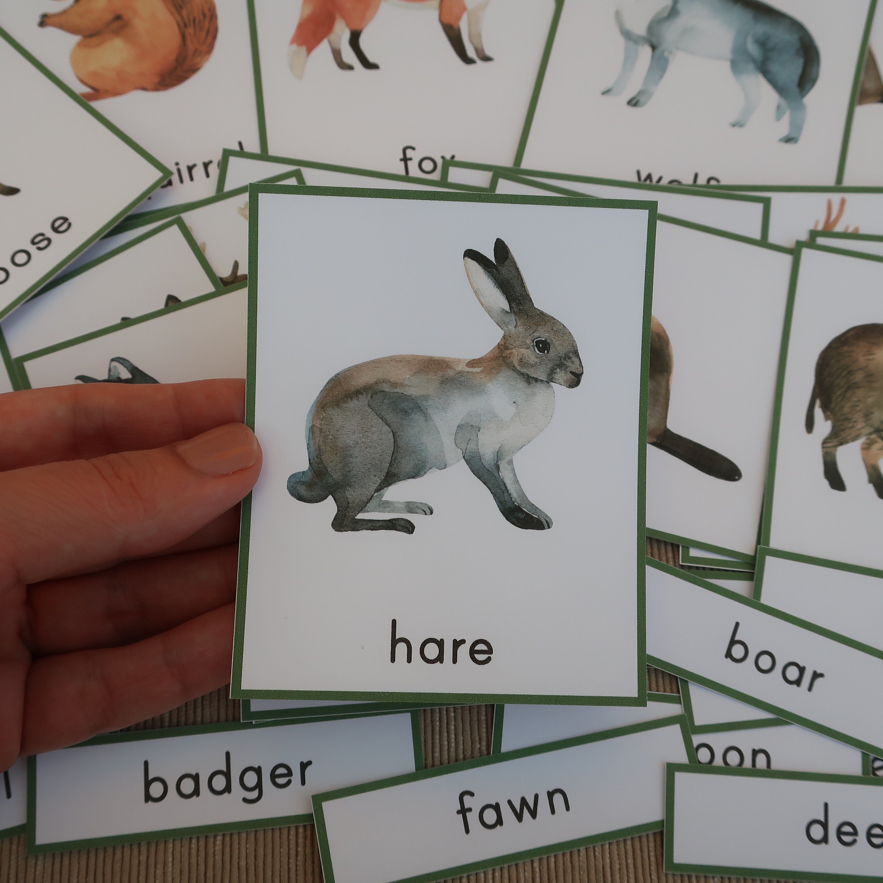 Woodland Animals Montessori 3 Part Cards. Preschool Vocabulary | Etsy