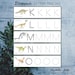 Dinosaur Alphabet Cards Tracing Letters. Preschool Montessori ...