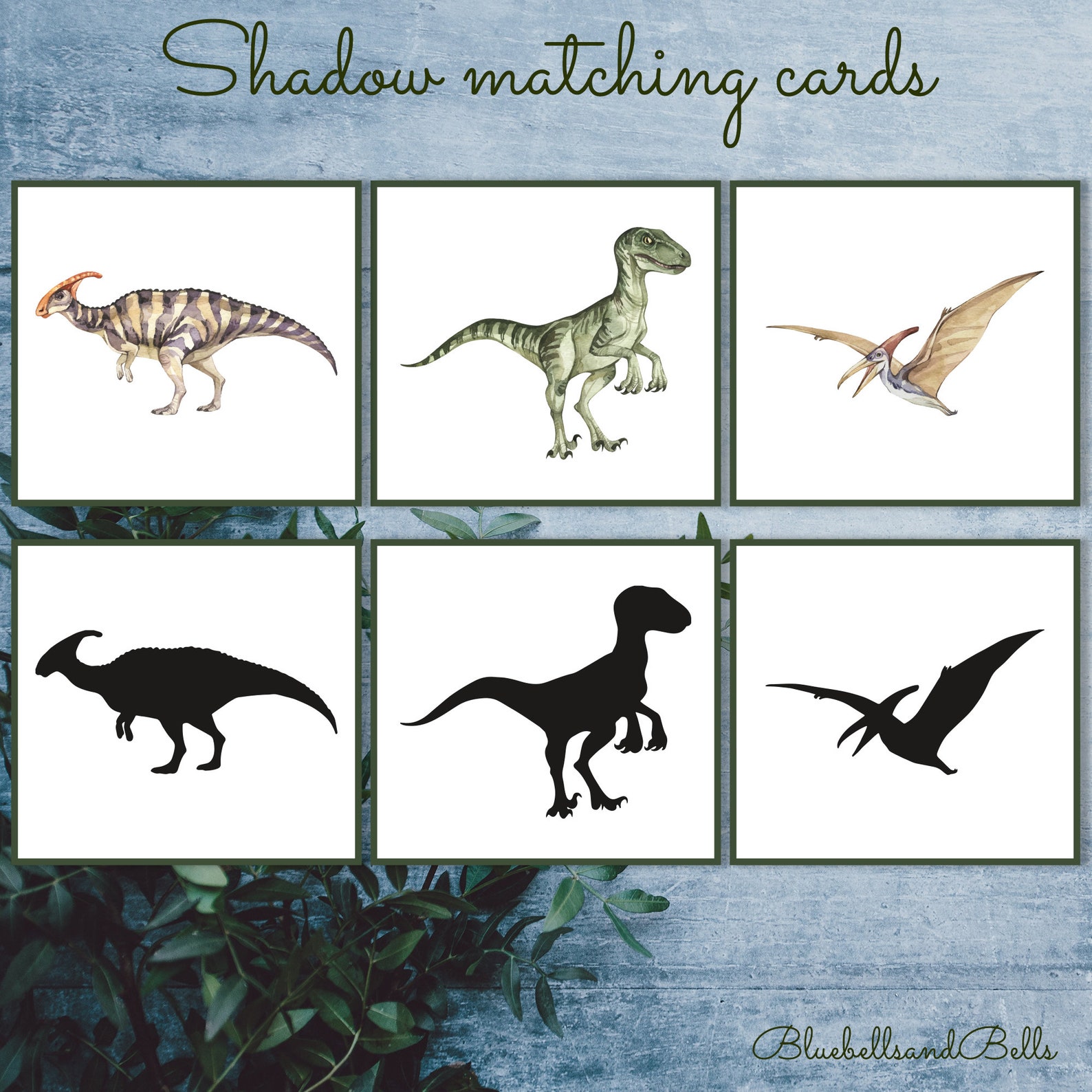 Montessori Printable Dinosaur Shadow Matching Cards. Toddler - Etsy
