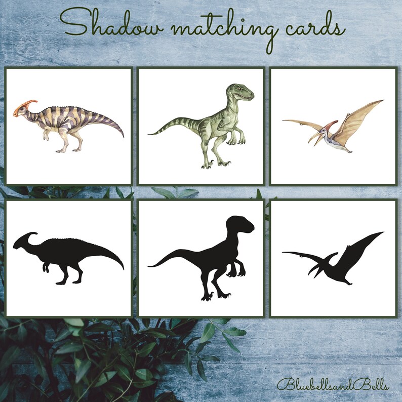 Montessori Printable Dinosaur Shadow Matching Cards. Toddler - Etsy