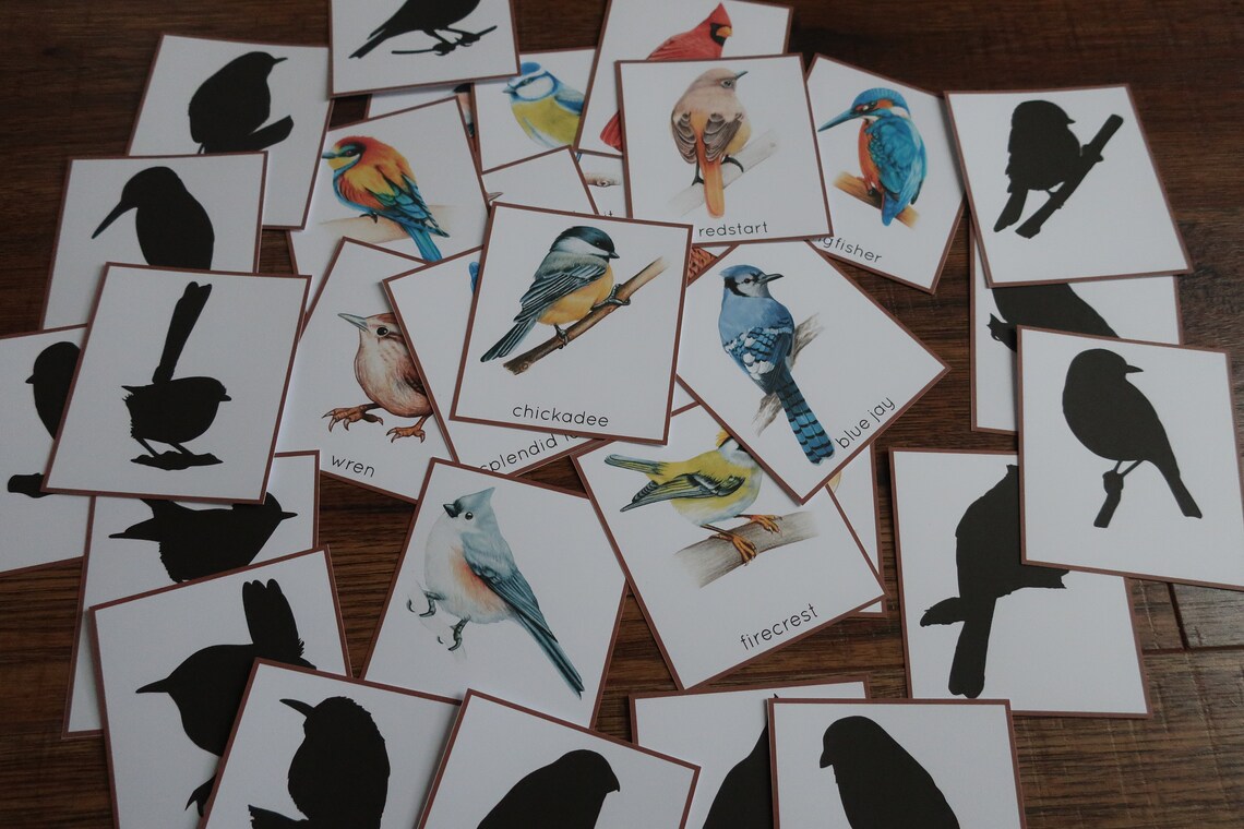 Bird Shadow Matching Flash Cards. Montessori Spring Printable. | Etsy