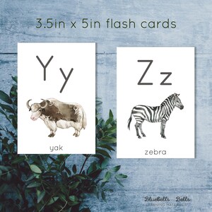 Animal Alphabet Cards. Watercolor Letter Flash Cards. Classroom ABC ...