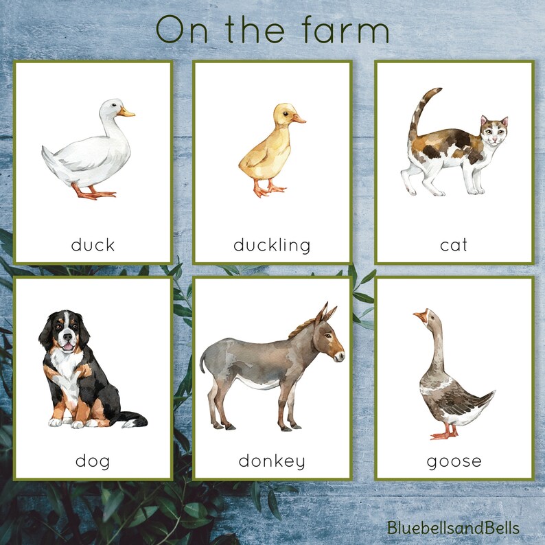 Farm Animals Flashcards. Toddler Watercolor Digital Cards. | Etsy