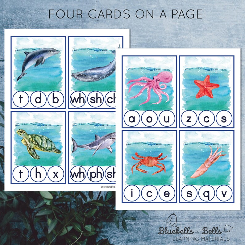 Ocean Animal Printable Phonics Clip Cards. Beginning Sound Activity ...