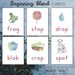 Blends Flashcards. Beginning Blend Printable. CCVC Words Preschool and ...