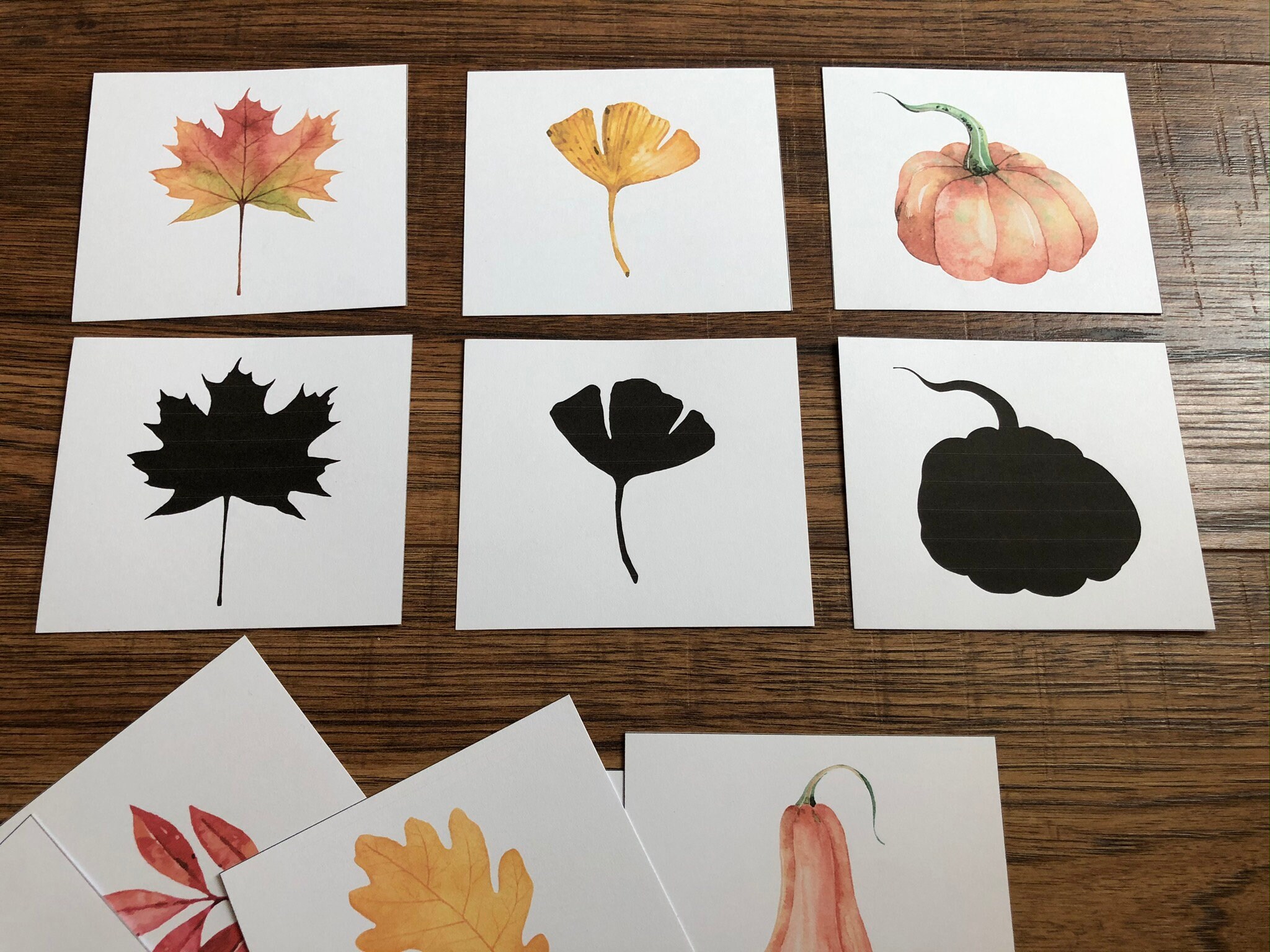 Autumn Shadow Matching Montessori Printable. Fall Nature - Etsy