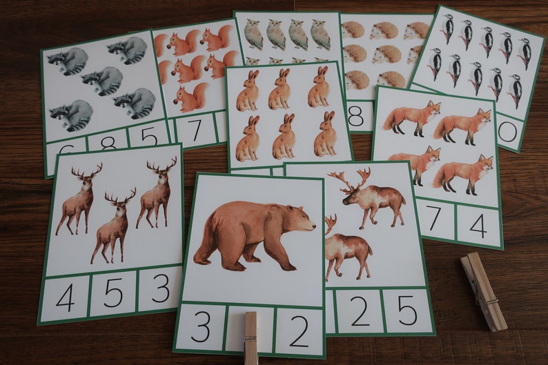 Woodland Animals Count and Clip Cards 1-10. Montessori | Etsy