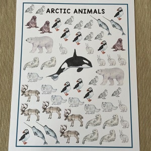 Montessori Arctic Animals Graphing Activity. Preschool Math Printable ...