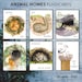 Animal Homes Cards and Matching Activity. - Etsy