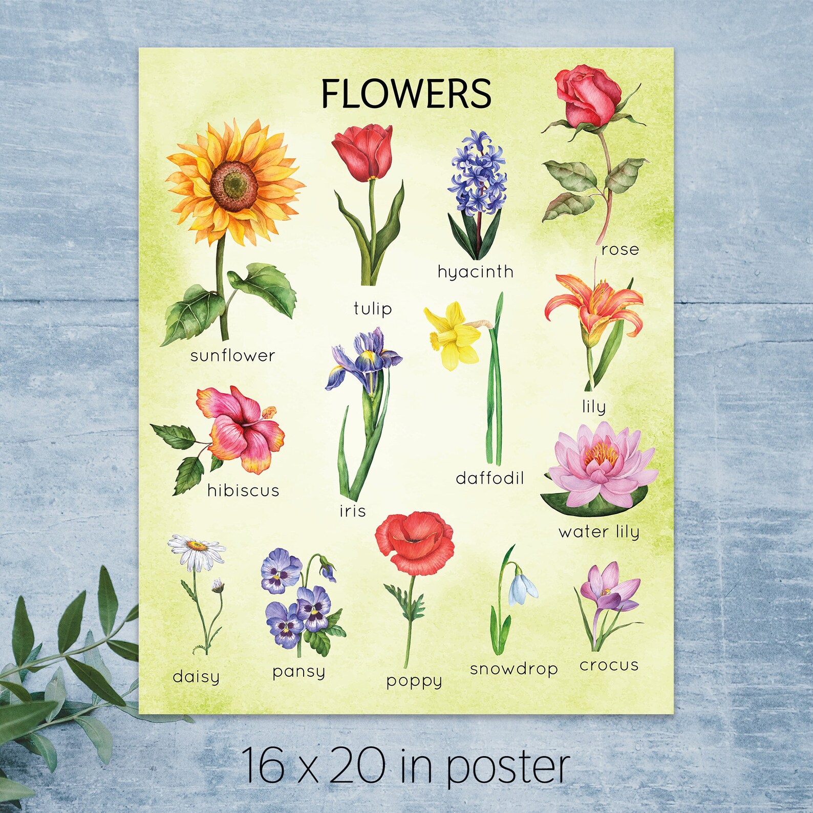 Flower Identification Printable Cards and Poster. Montessori - Etsy