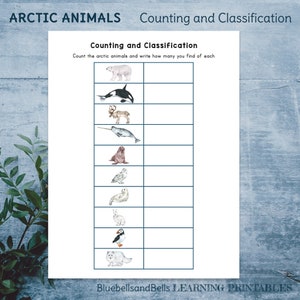 Montessori Arctic Animals Graphing Activity. Preschool Math Printable ...
