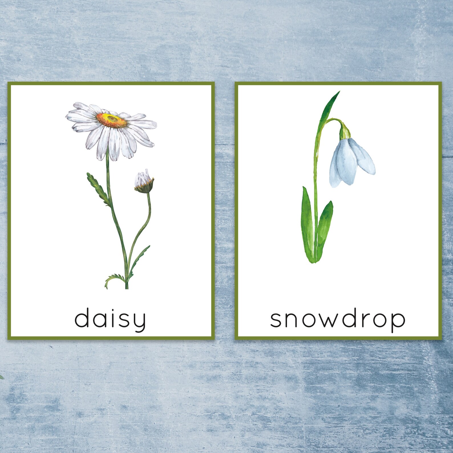 Flower Identification Printable Cards and Poster. Montessori - Etsy