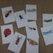 Phonics Printable INSECTS. Spring Preschool and Kindergarten - Etsy