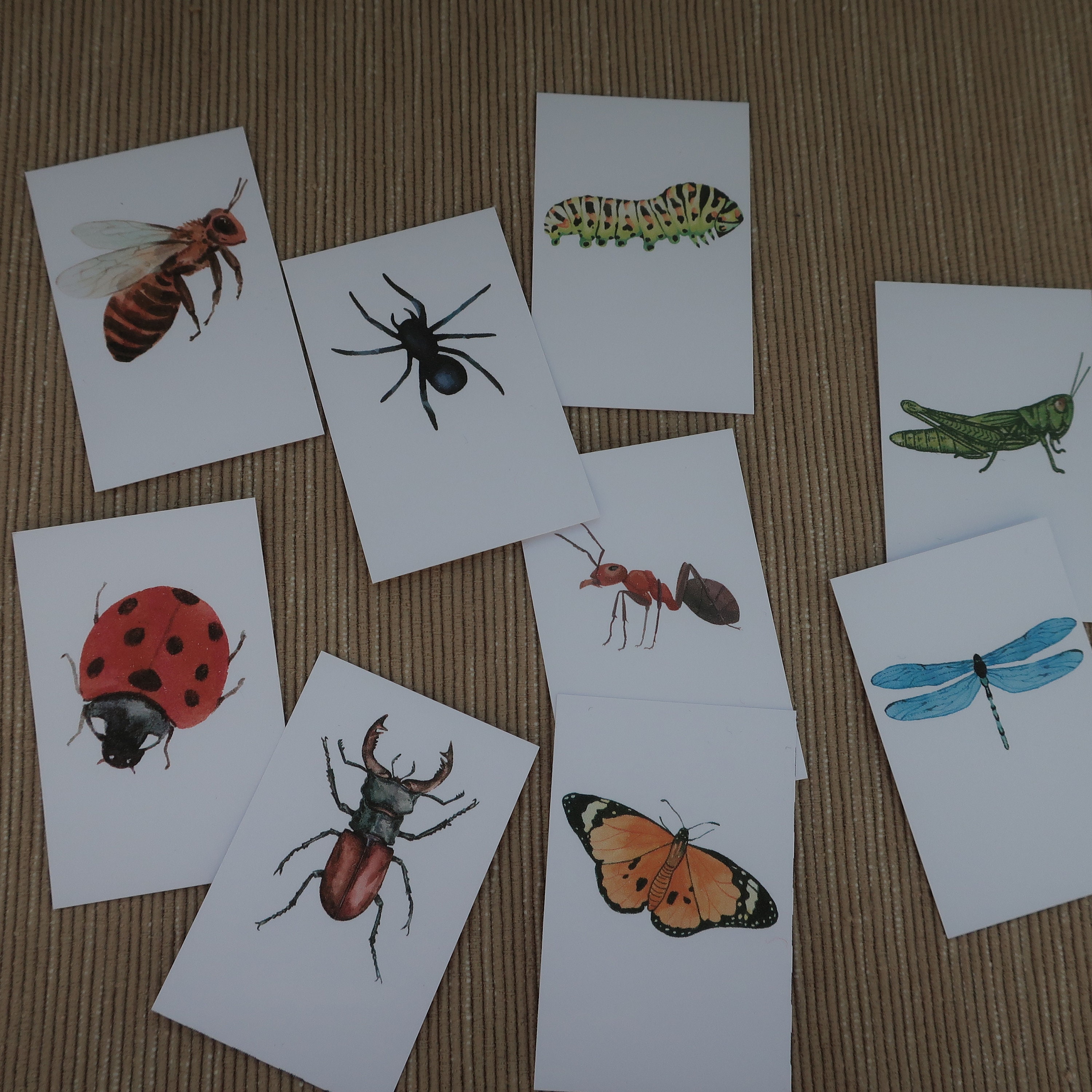 Phonics Printable INSECTS. Spring Preschool and Kindergarten - Etsy