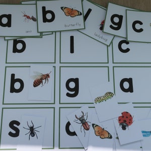 Phonics Printable INSECTS. Spring Preschool and Kindergarten Beginning ...