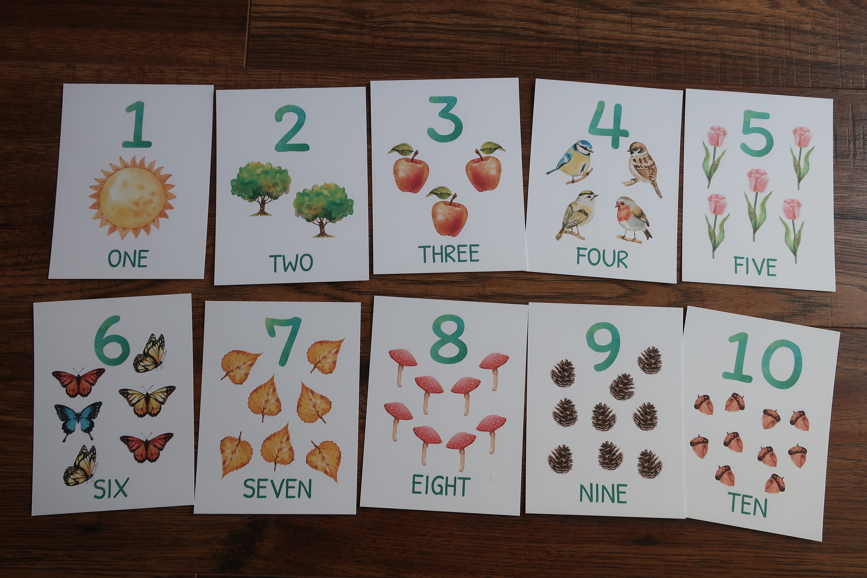 Nature number cards 1-10. Counting cards toddler. Printable | Etsy