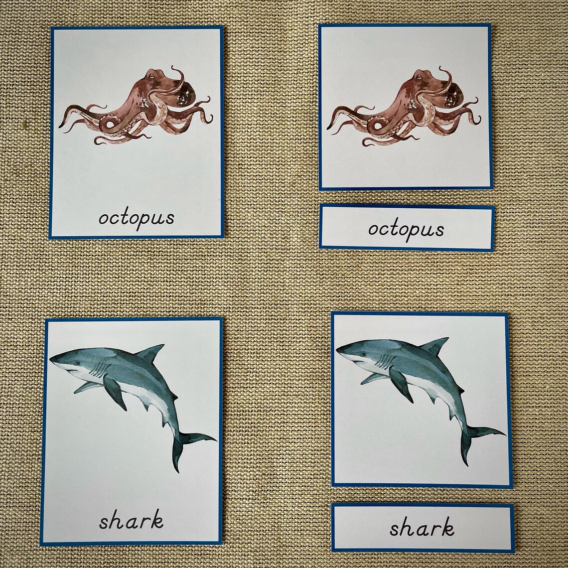 Ocean Montessori Printable 3 Part Cards. Preschool Vocabulary Cards ...