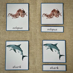 Ocean Montessori Printable 3 Part Cards. Preschool Vocabulary Cards ...