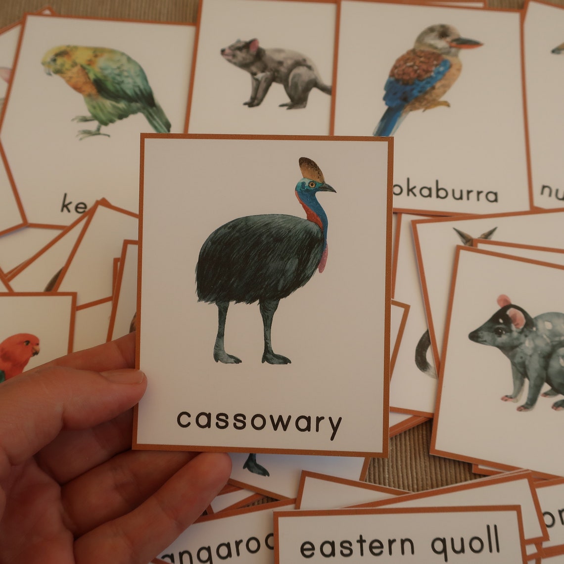 Australia Oceania Animals Montessori Printable 3 Part Cards. - Etsy