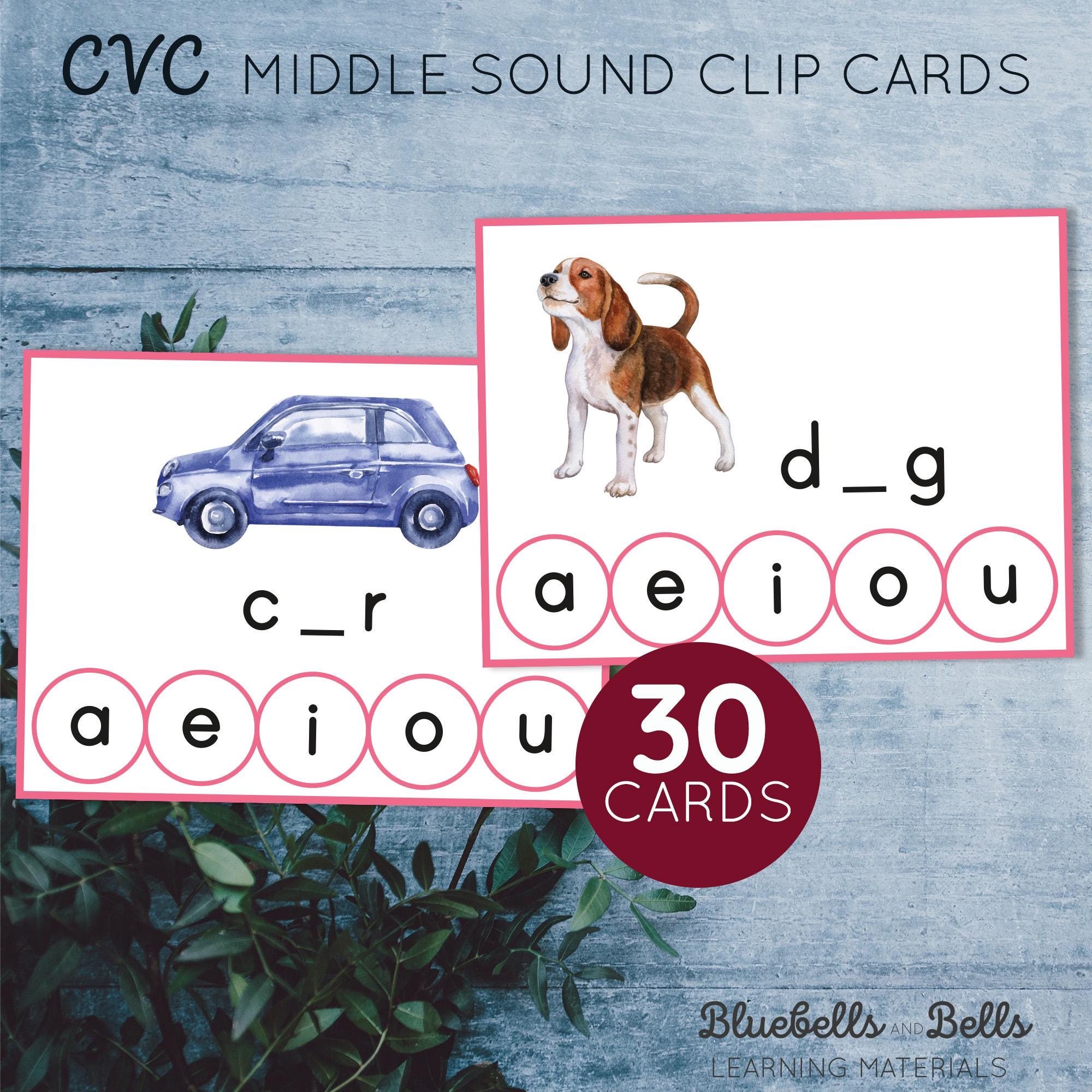 Montessori Phonics Printable CVC Word Clip Cards Middle Sound. Pre ...