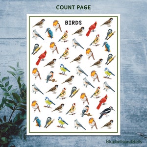 Birds Preschool Graphing. Spring Montessori Math Printable for ...