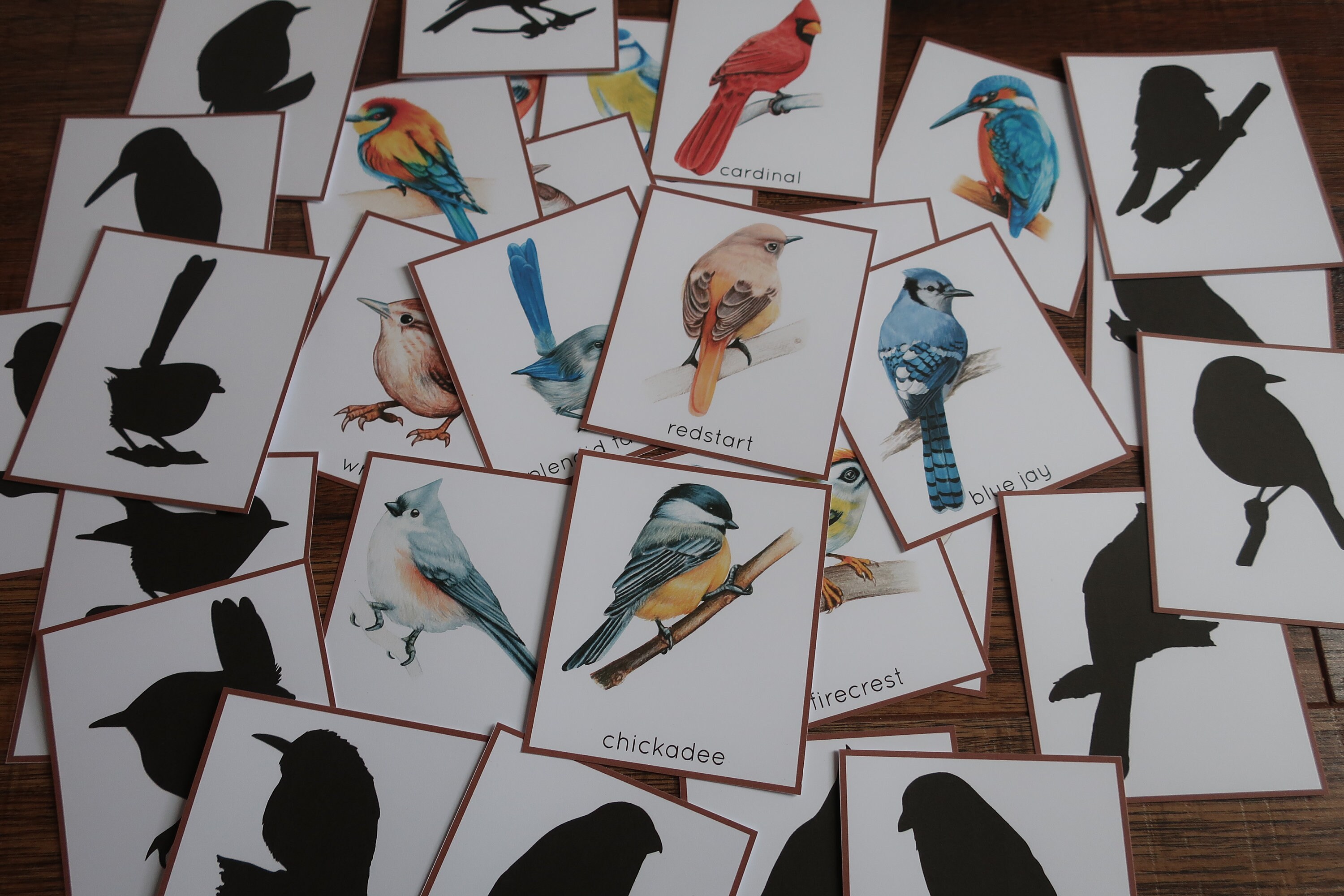 Bird Shadow Matching Flash Cards. Montessori Spring Printable. | Etsy