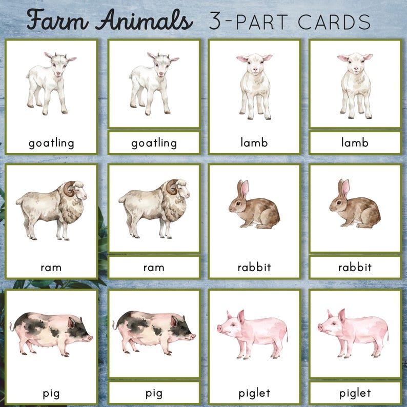 Farm Animal Montessori Printable 3 Part Cards. Preschool and ...
