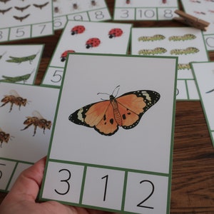 Insect Count and Clip Cards 1-10. Montessori Summer Math Printable ...