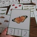 Insect Count and Clip Cards 1-10. Montessori Summer Math - Etsy