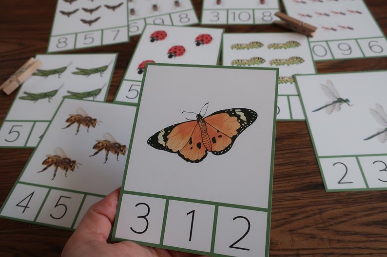 Insect Count and Clip Cards 1-10. Montessori Summer Math Printable ...