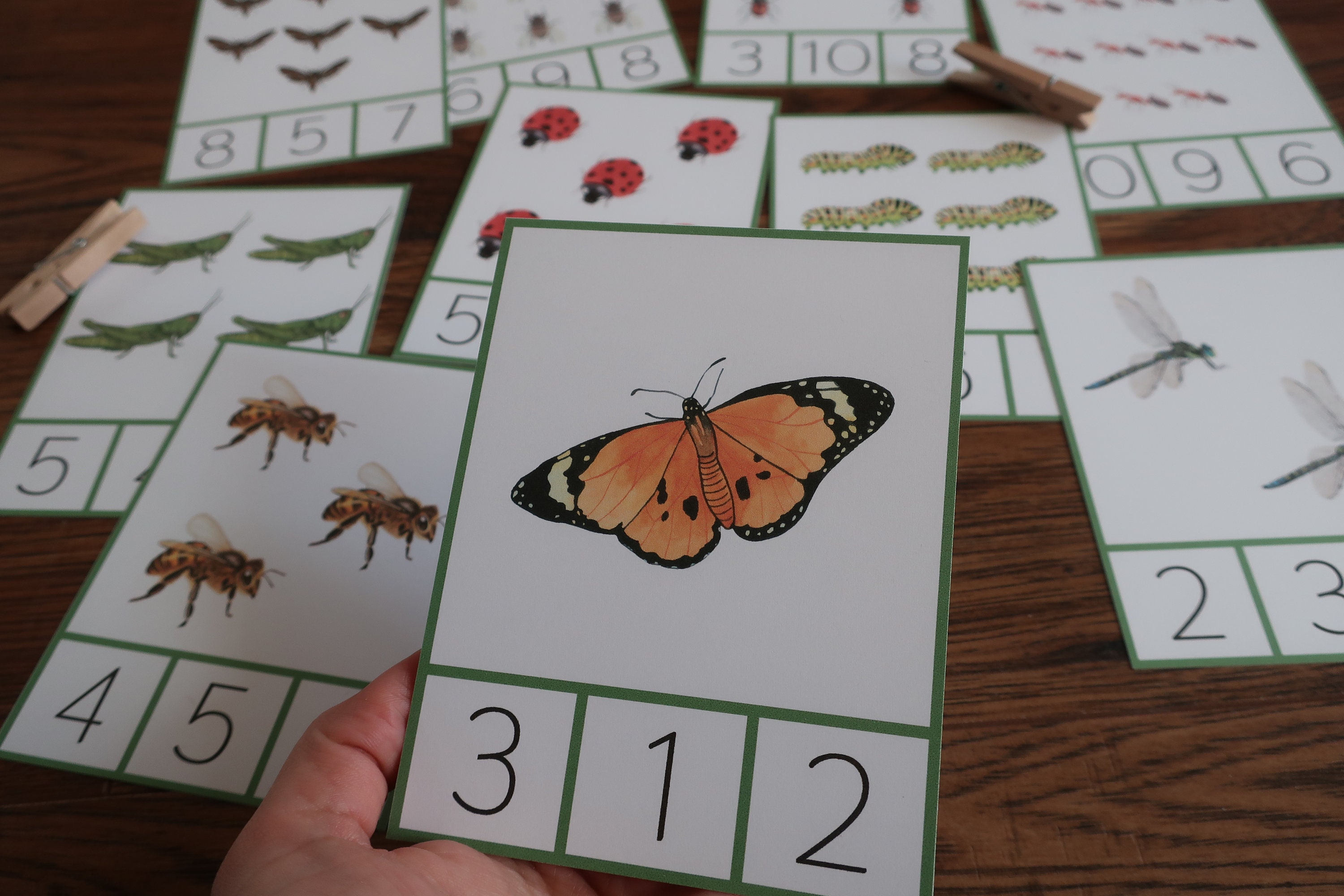 Insect Count and Clip Cards 1-10. Montessori Summer Math - Etsy