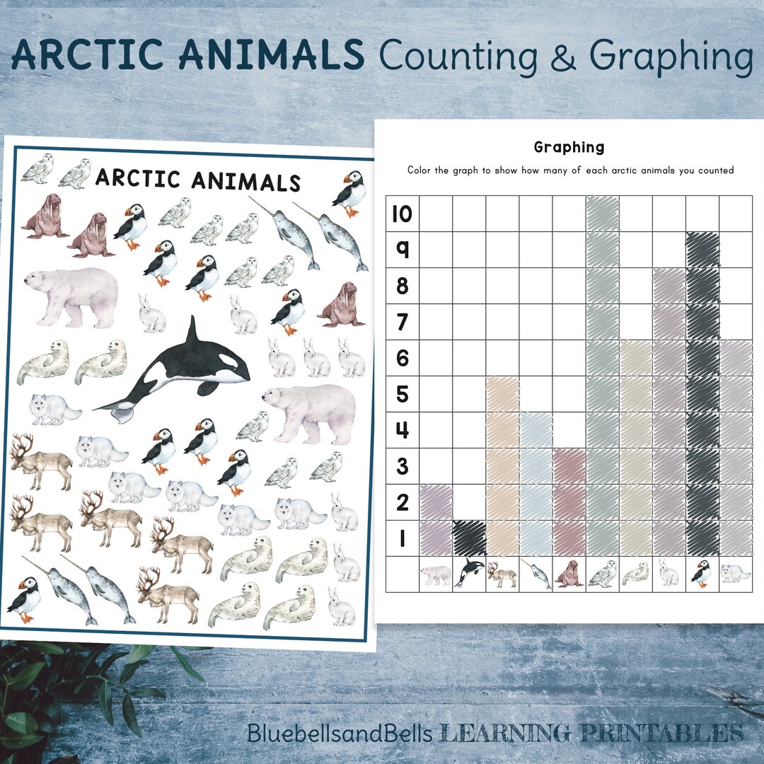 Montessori Arctic Animals Graphing Activity. Preschool Math Printable ...
