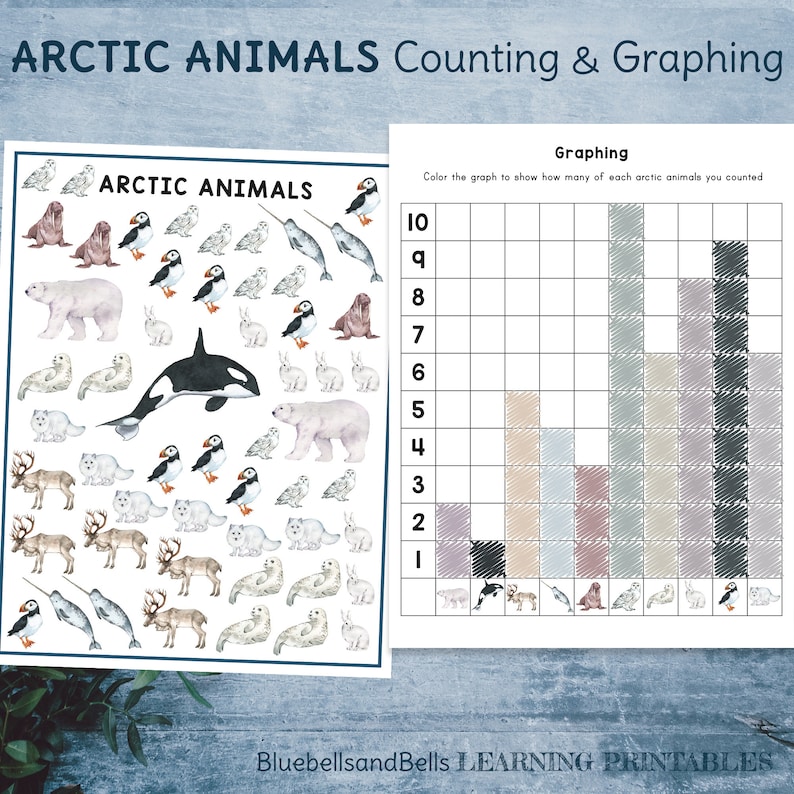 Montessori Arctic Animals Graphing Activity. Preschool Math Printable ...