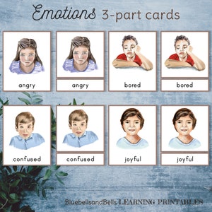 Emotions 3-part Cards. Montessori Printable Feelings Vocabulary ...
