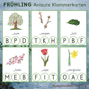 Montessori Anlaute Frühling Klammerkarten. Kindergarten Und Vorschule ...