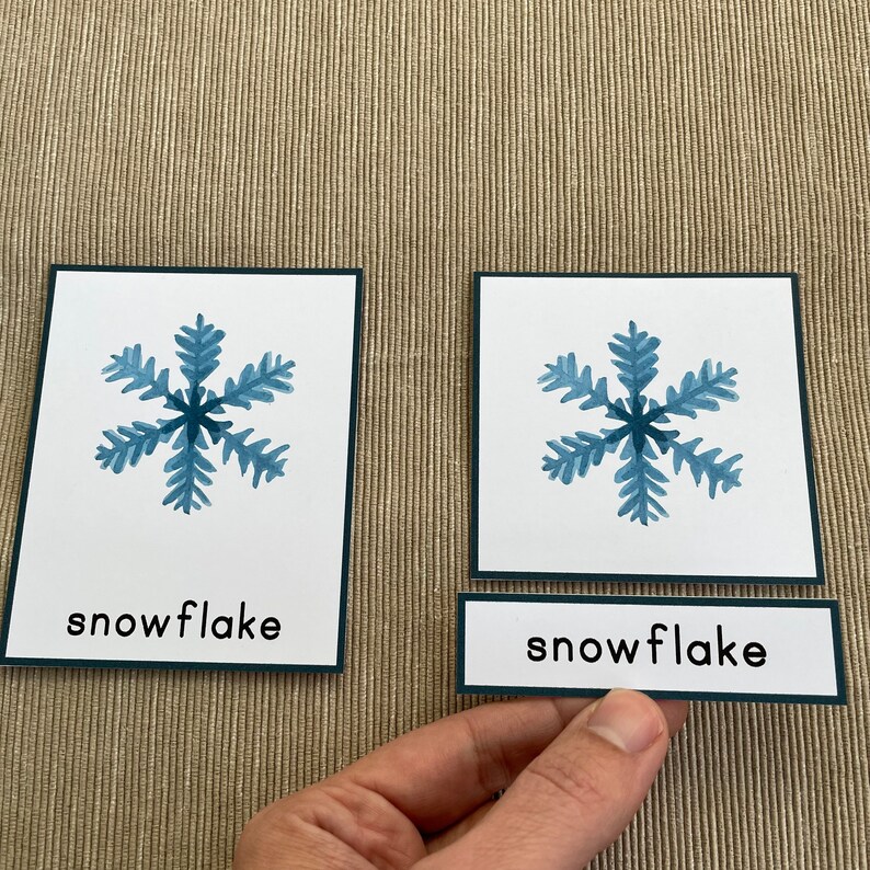 Winter Montessori Printable Vocabulary 3 Part Cards. Preschool and ...