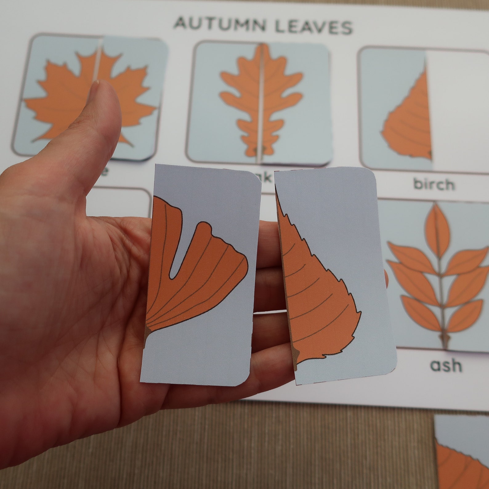 Montessori Puzzle Fall Leaves. Toddler Matching Halves Symmetry ...