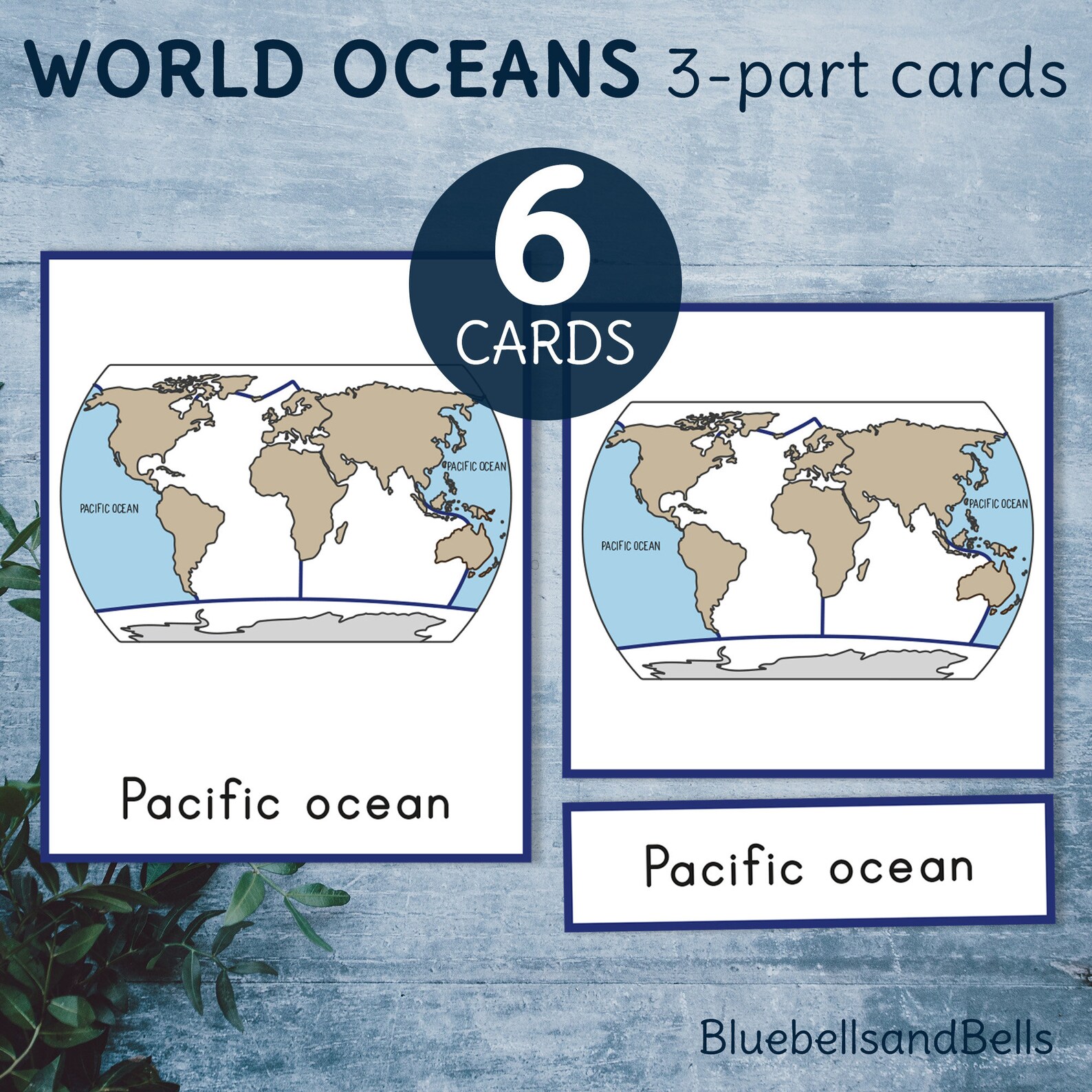 Oceans of the World 3 Part Cards. Montessori Geography - Etsy
